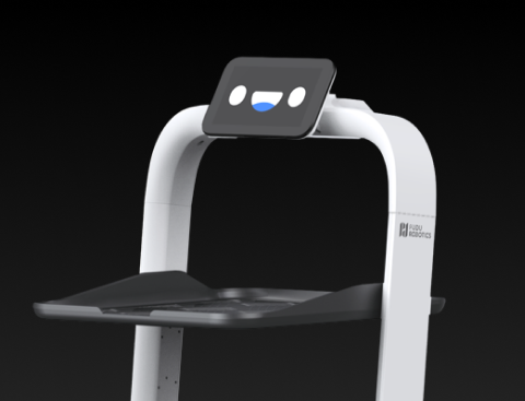 Pudubot 2- Robot de Reparto y publicidad - SecureTPV